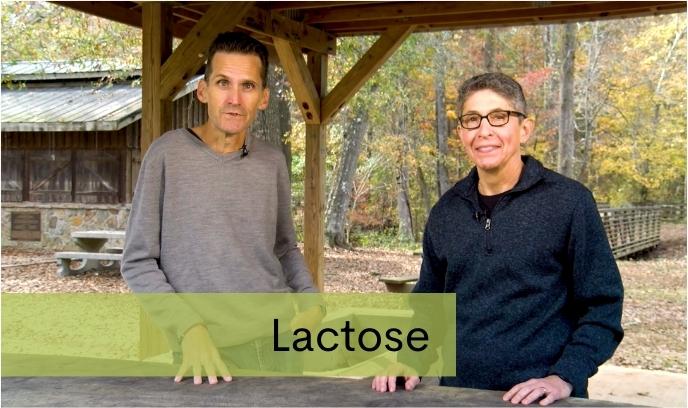 Gastric Cancer Foundation Lactose | Gastric Cancer Foundation